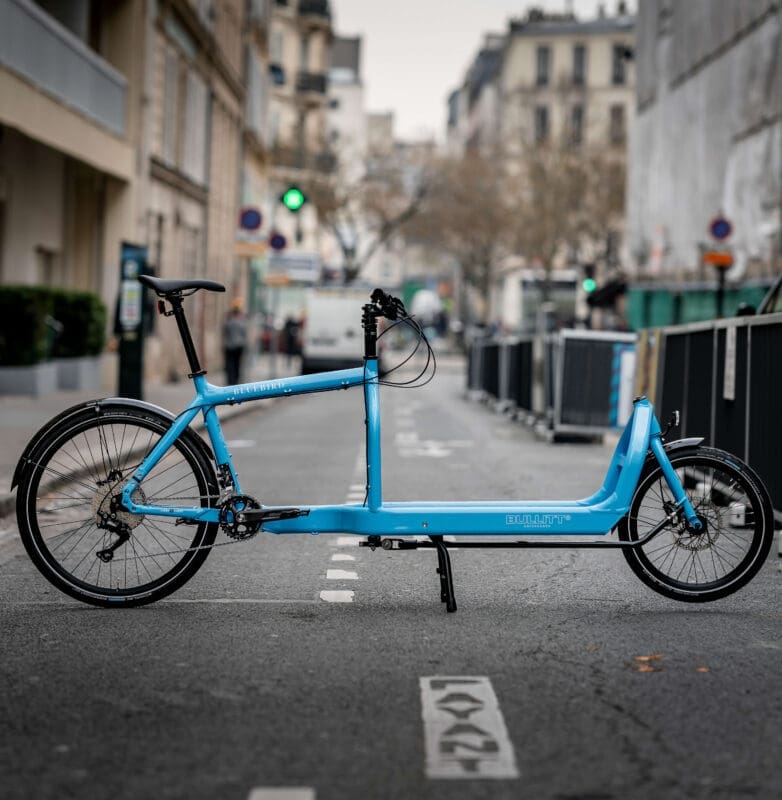 Waiting in the Wings: The Migration of the Bullitt Bluebird - PEDAAL